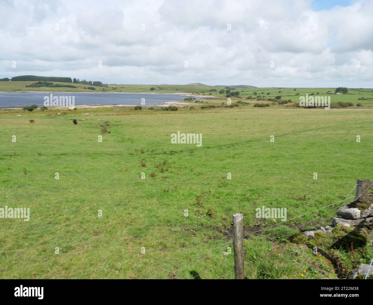 View of a shallow lake surrounded by green pastures in Bodmin Moor ...
