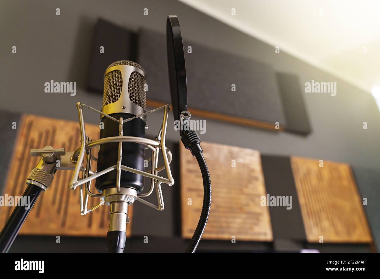 A close-up of a condenser microphone in a recording studio, with a ...