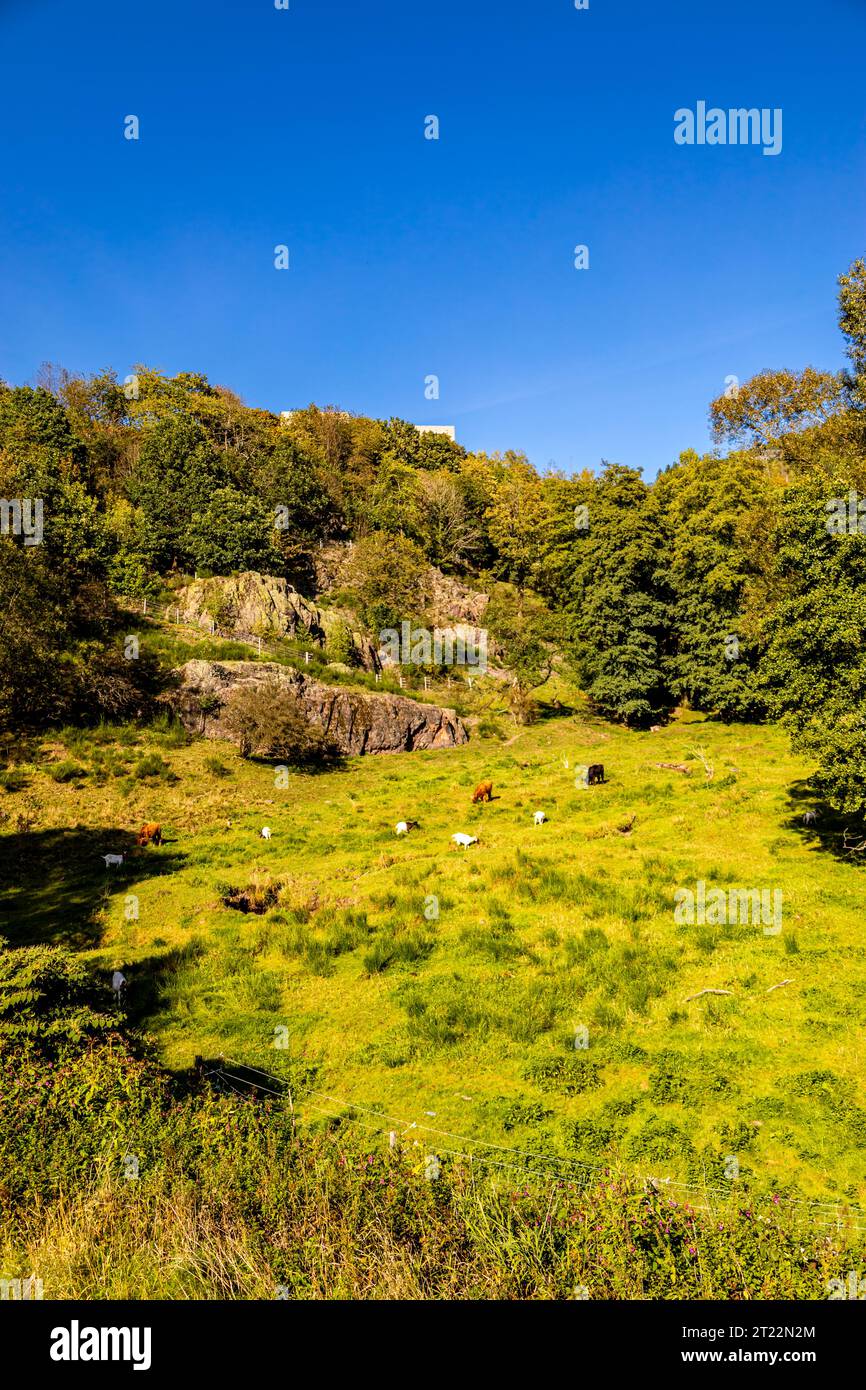Autumn cycle tour on the high trail of the Thuringian Forest via ...