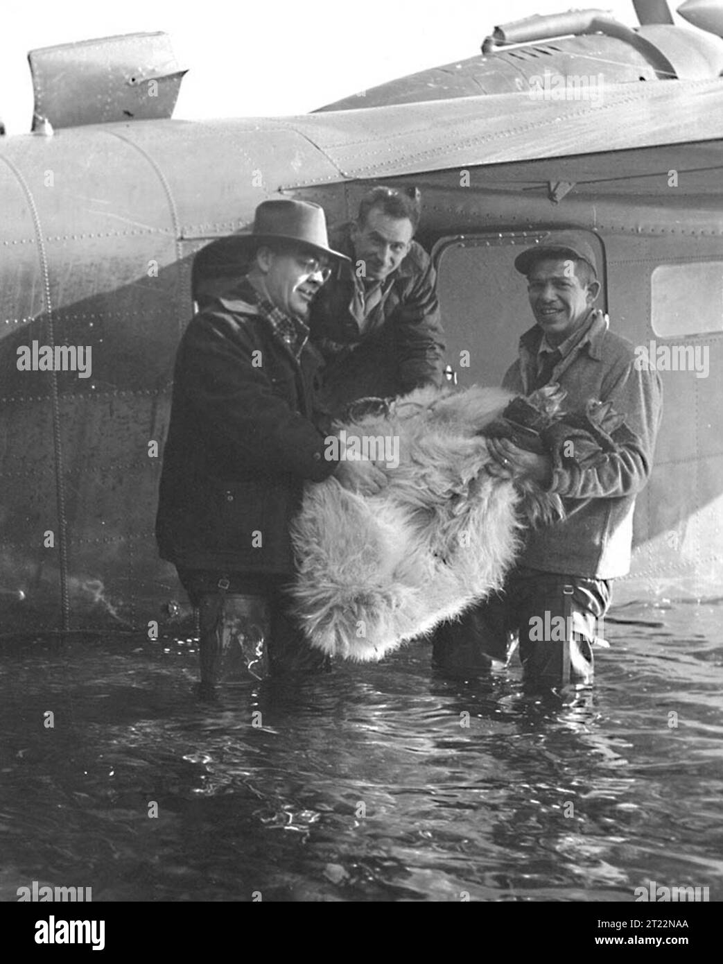 Photo caption pinpoints the location as Chichagof Island, Basket Bay ...