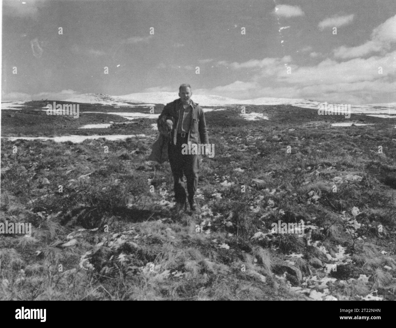 Caribou transplant hi-res stock photography and images - Alamy