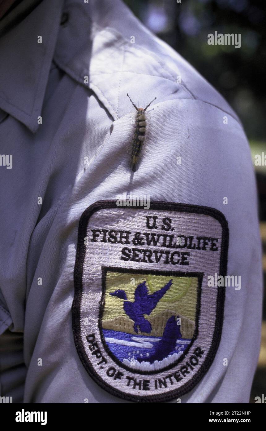 Usfws logo hi-res stock photography and images - Alamy