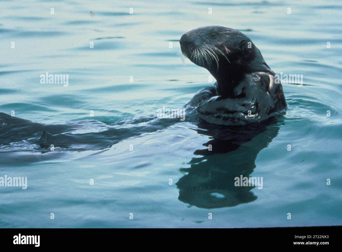 Marine ecos hi-res stock photography and images - Alamy