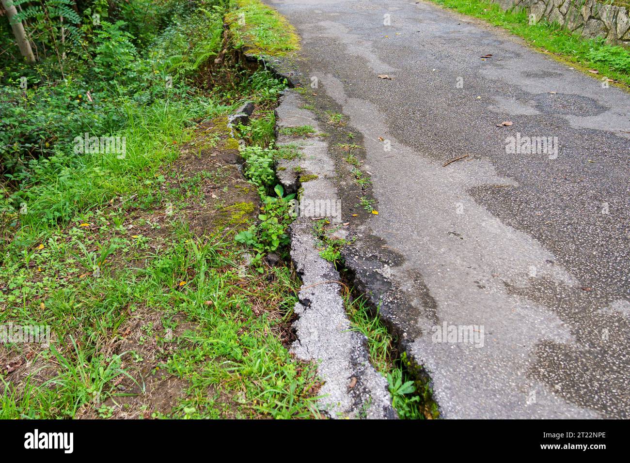 Collapsed broken asphalt road in the forest due to an earthquake. Crack ...