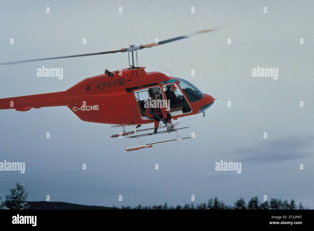 Tranquilizing animals hi-res stock photography and images - Alamy