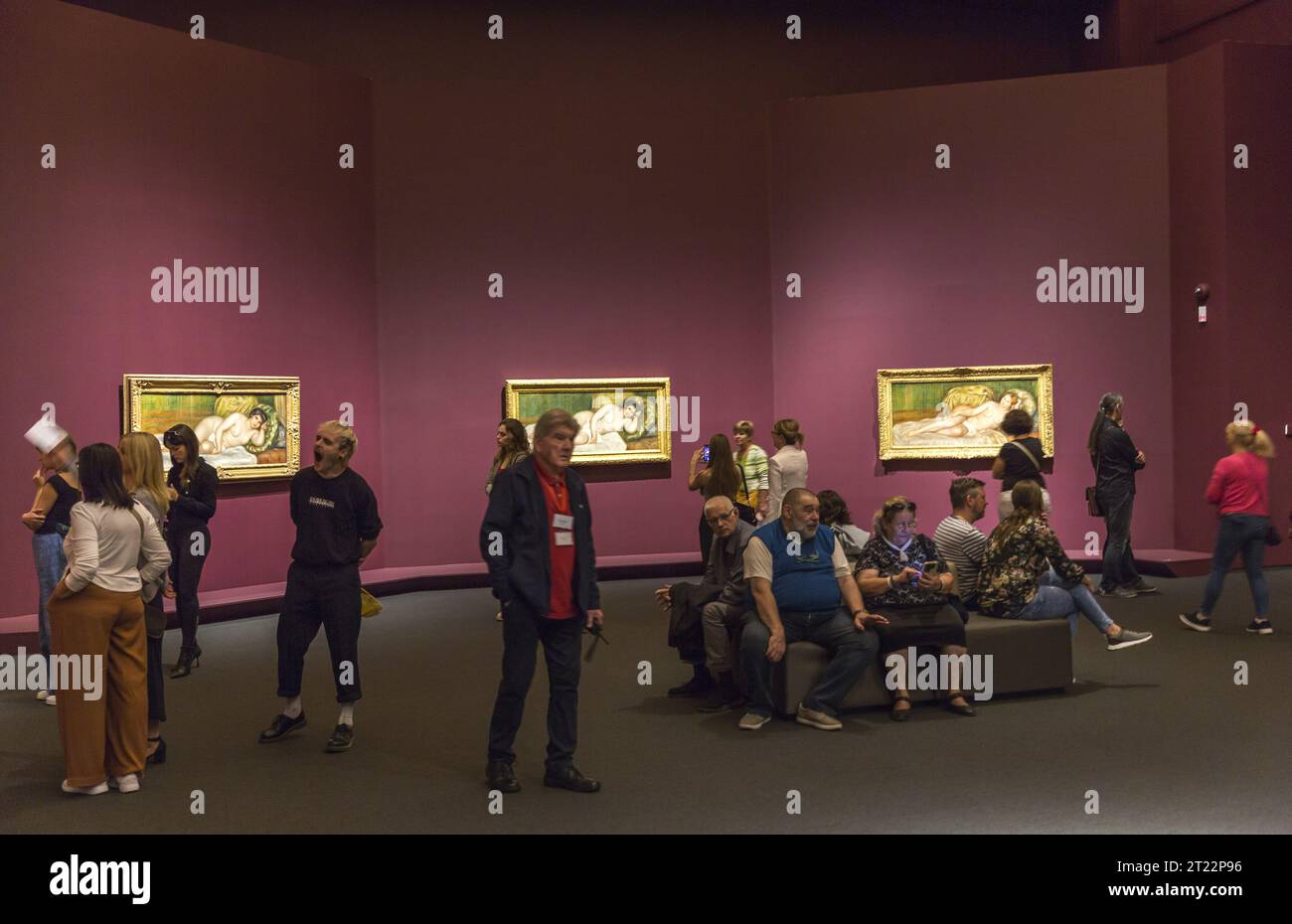 Renoire exhibition in Budapest Stock Photo - Alamy