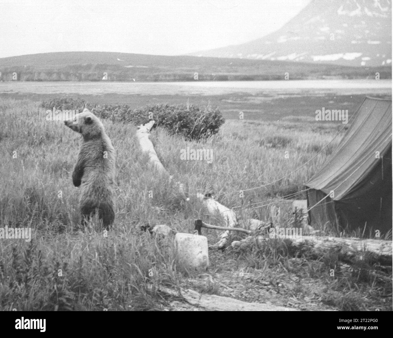 Importance of observation in nature Black and White Stock Photos ...