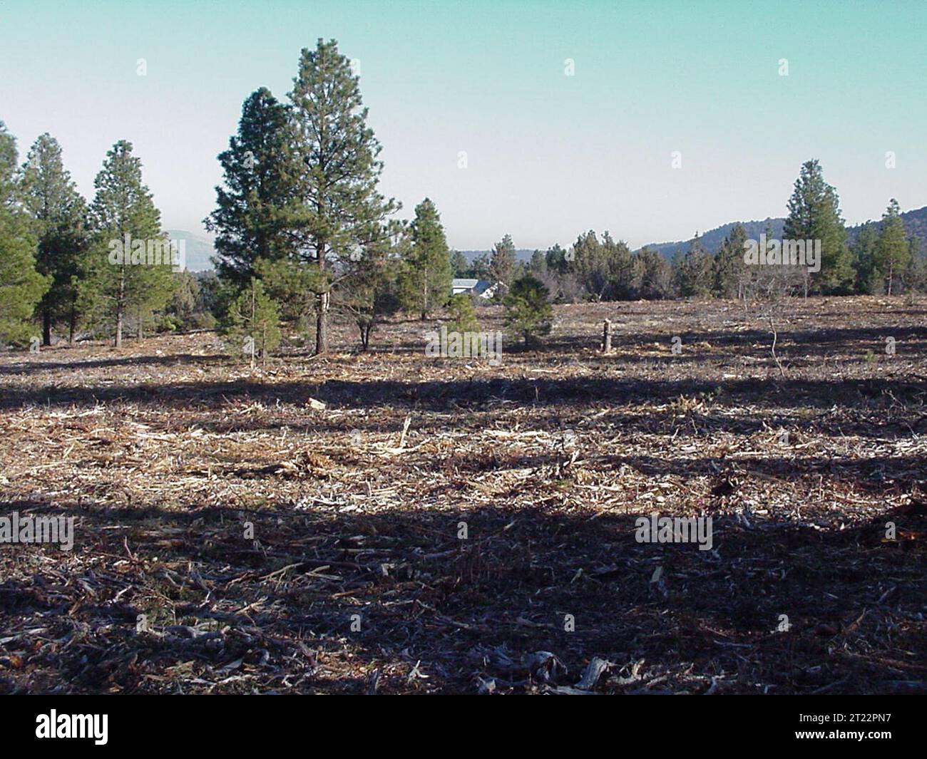 Subjects: Bear Valleys NWR after slashbusting fuels reduction fire ...