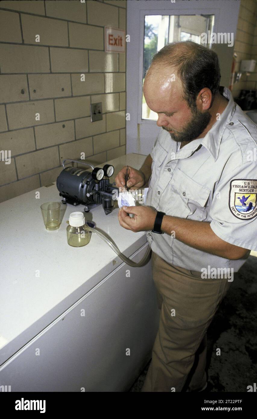 Craig brook national fishes hatchery hi-res stock photography and ...