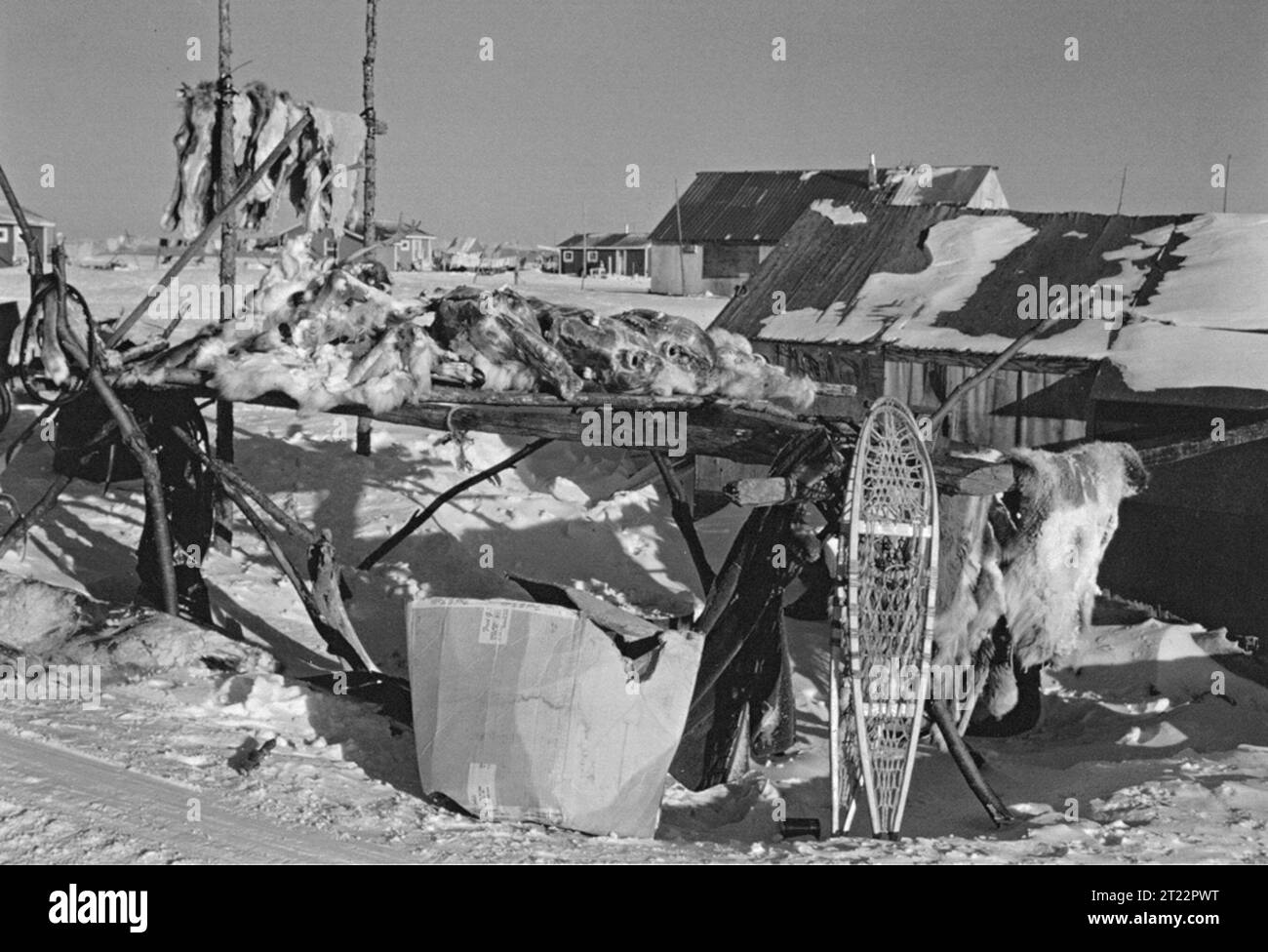 A raised wooden platform in the village of Selawik, Alaska, used for ...