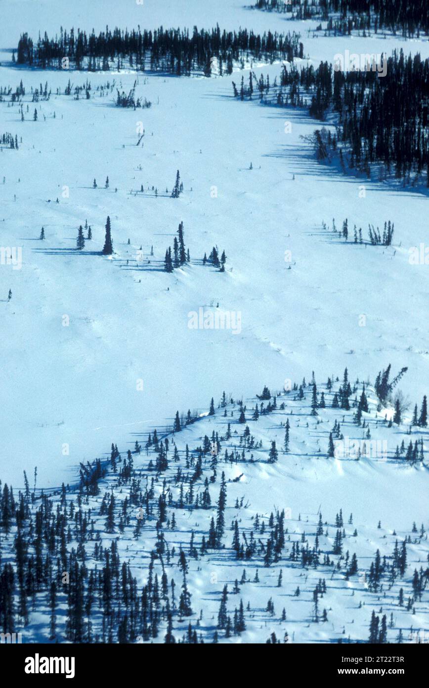 Aerial view of river. Subjects: Scenics; Landscapes; Rivers and streams ...