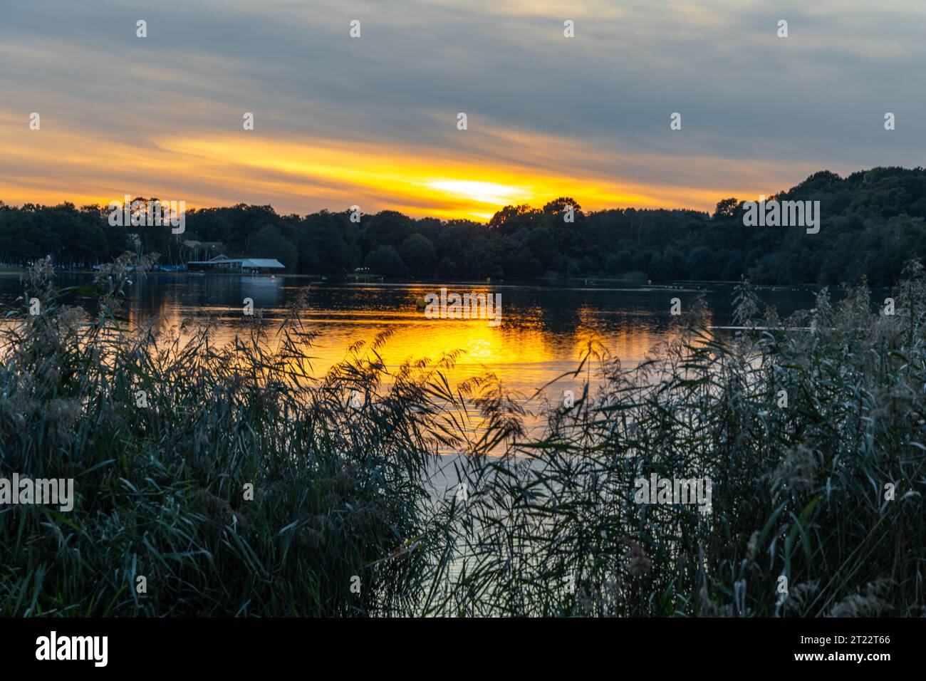 Thursley Common National Nature Reserve October Autumn sunrise golden ...