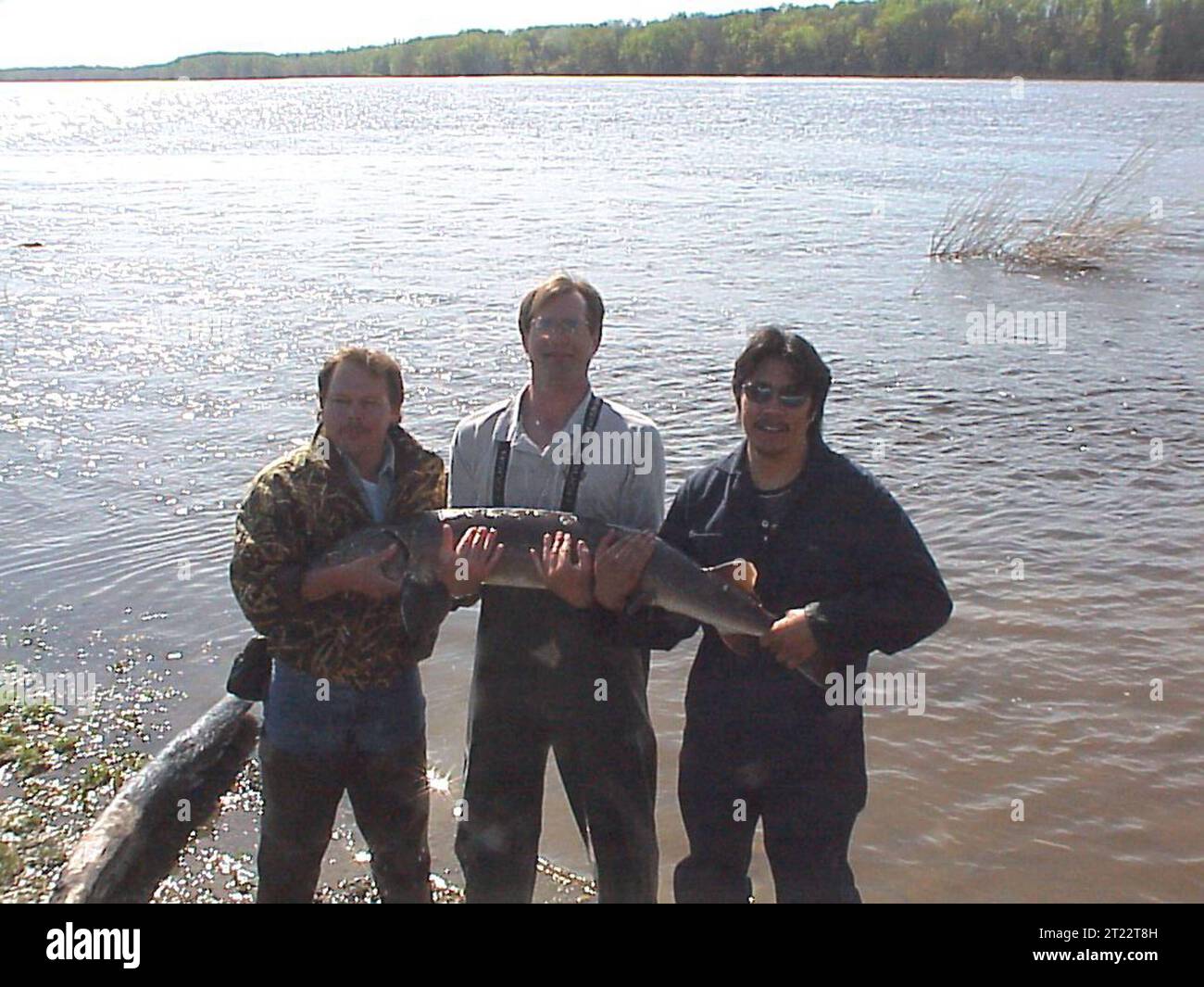A collaborative egg collection project for lake sturgeon, involving ...