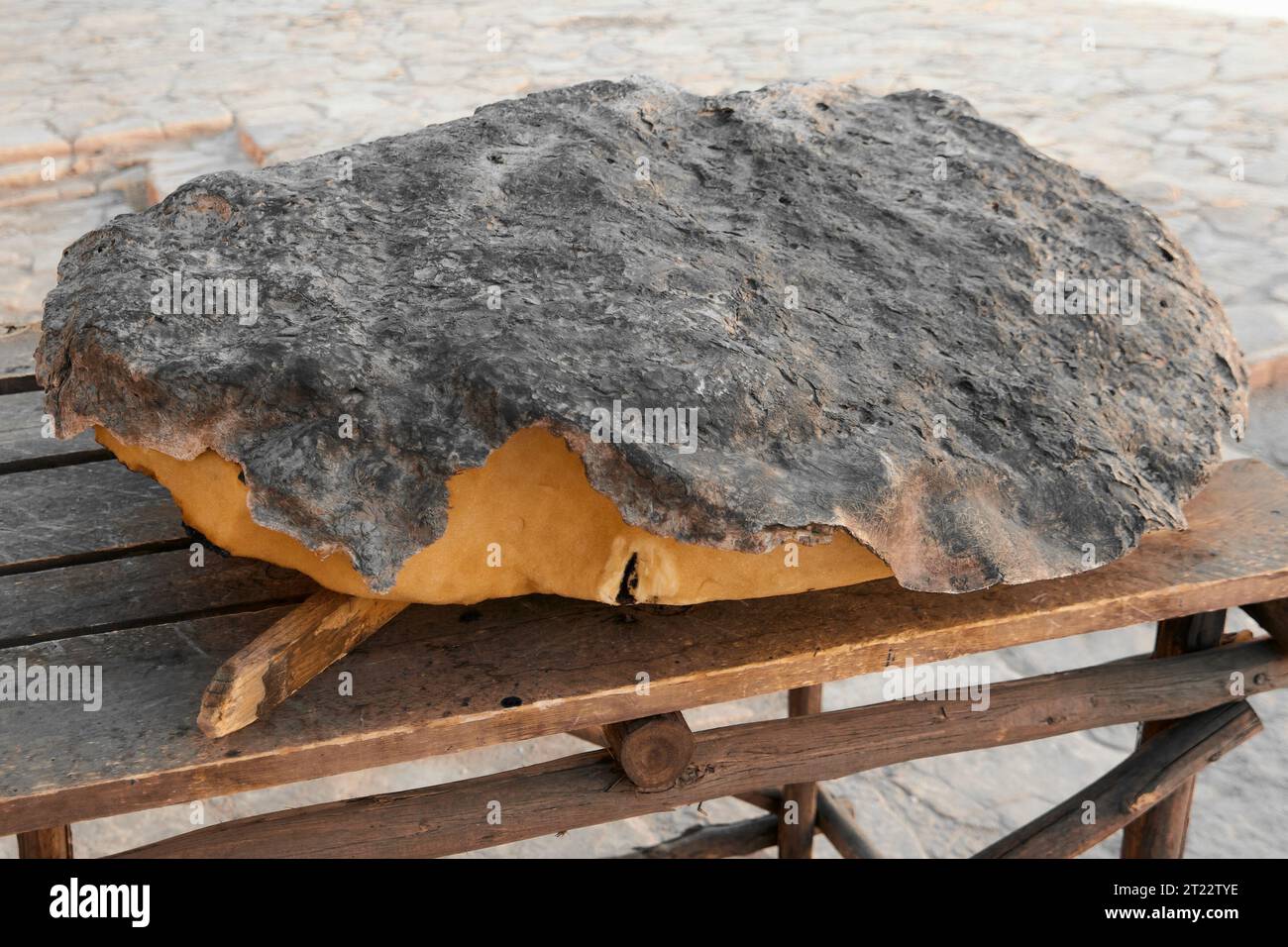 Movie prop of a dark gray rock with rough and smooth textures on a ...