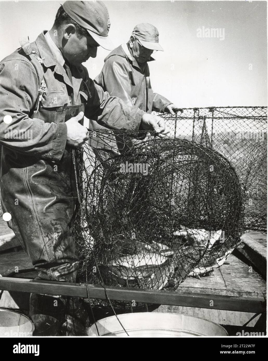 The photo shows the process of netting fish, a common method used in ...