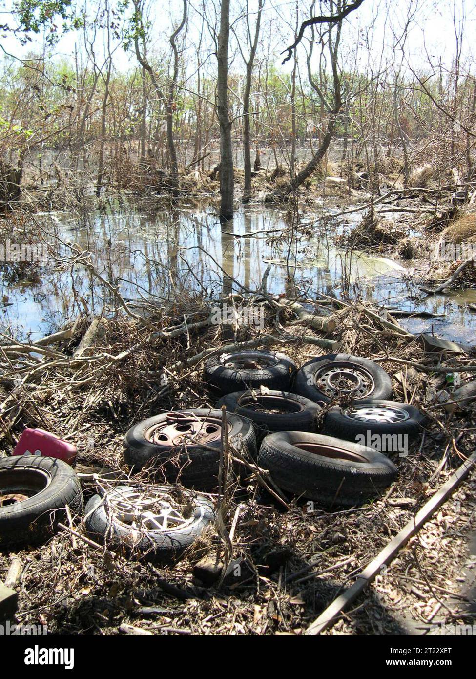 Debris left on the refuge in the wake of hurricane Katrina. Subjects ...