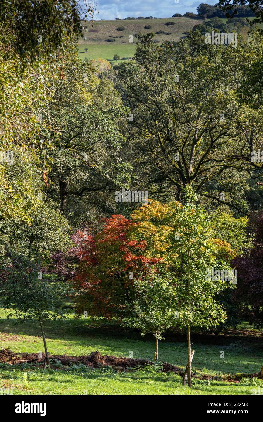 Abscisic acid trigger hi-res stock photography and images - Alamy