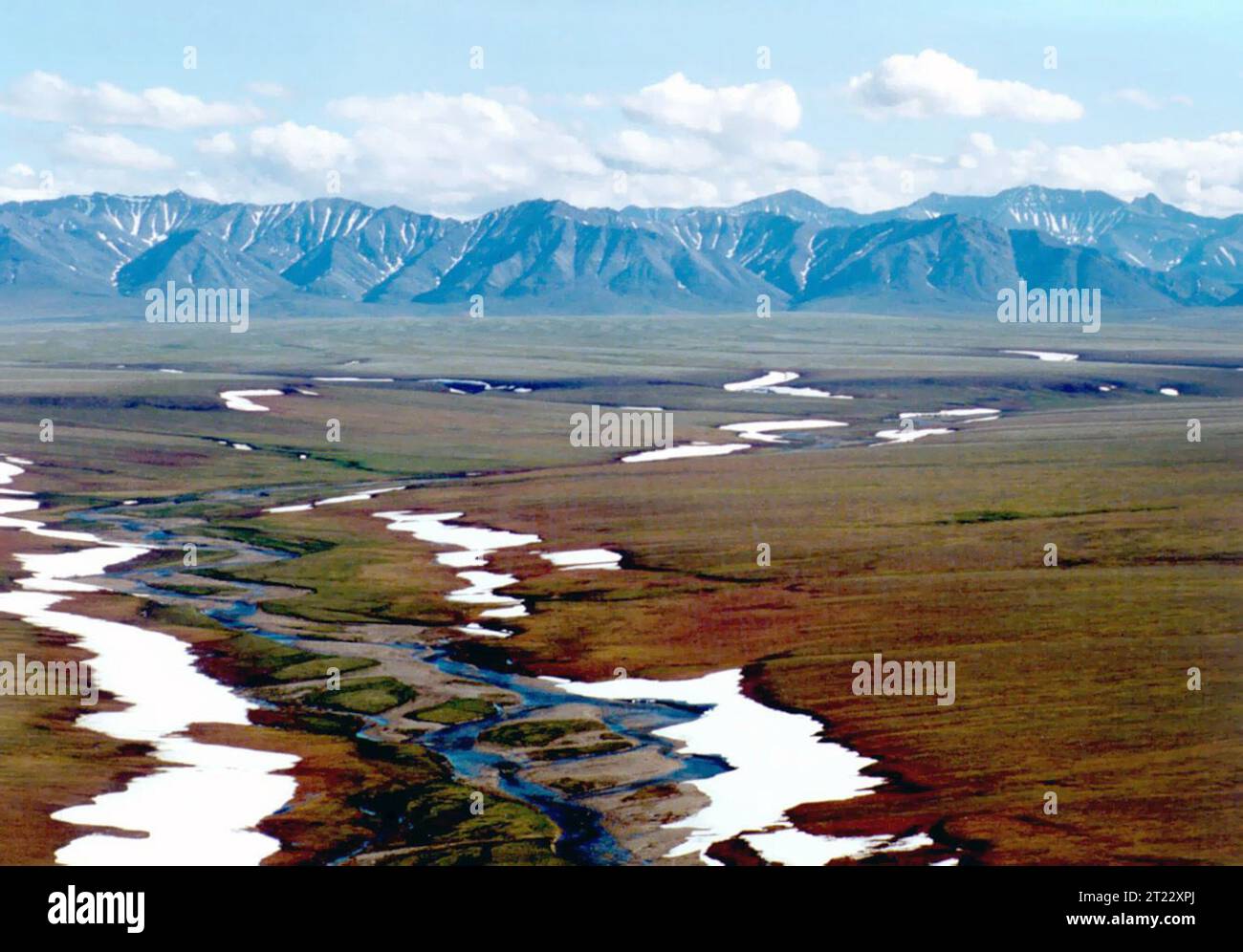 Subpolar environments hi-res stock photography and images - Alamy