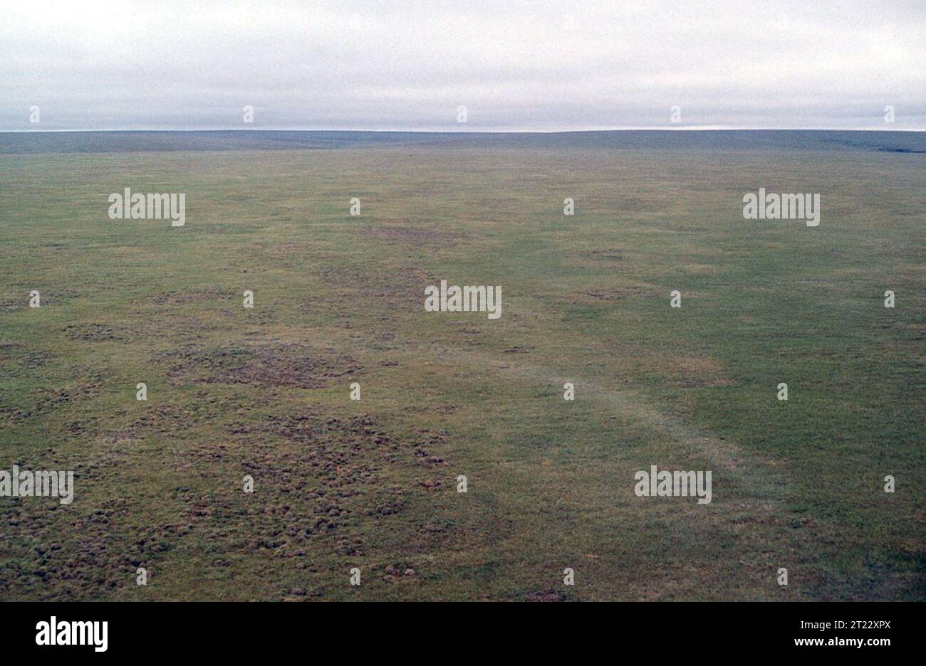 The tundra in the 1002 Area of the Arctic National Wildlife Refuge ...