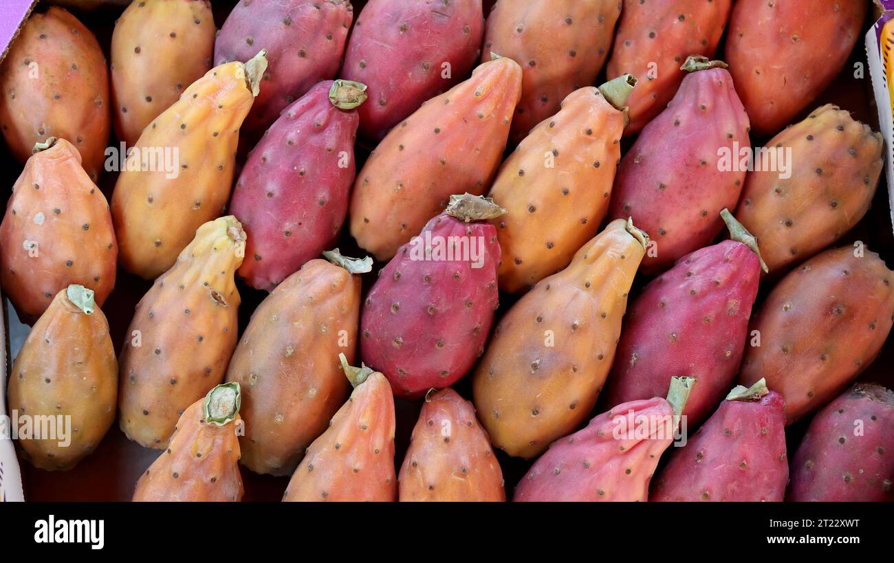 Prickly pears on display in the Ballaro Market, Palermo, Sicily Stock ...