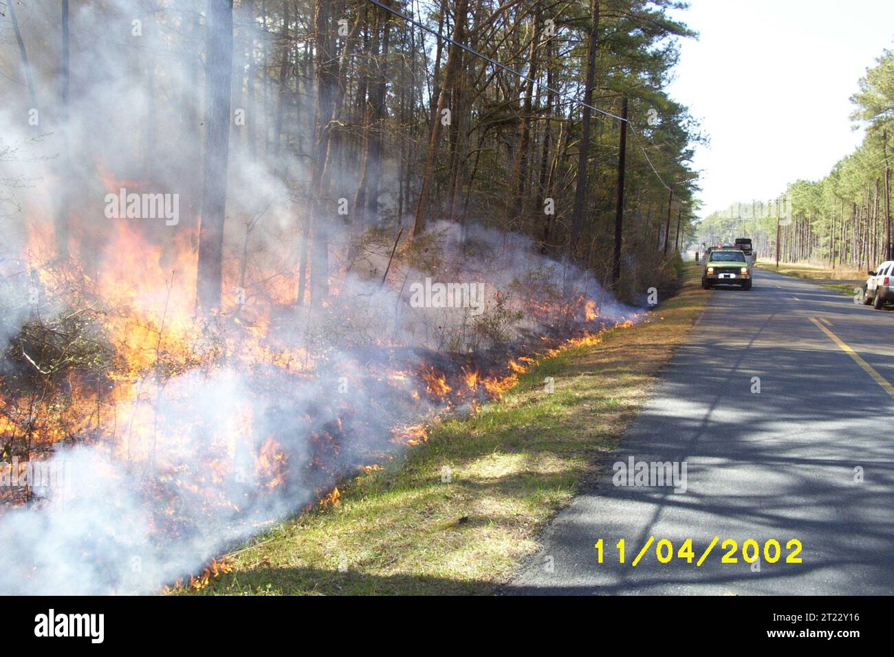 Creator: Gerald Vickers. Subjects: Prescribed burning; Prescribed ...