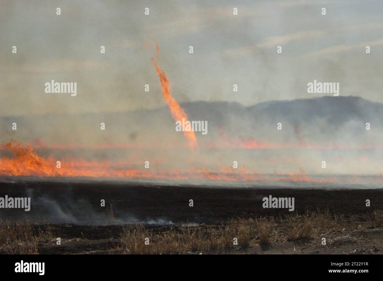 Tule lake nwr hi-res stock photography and images - Alamy