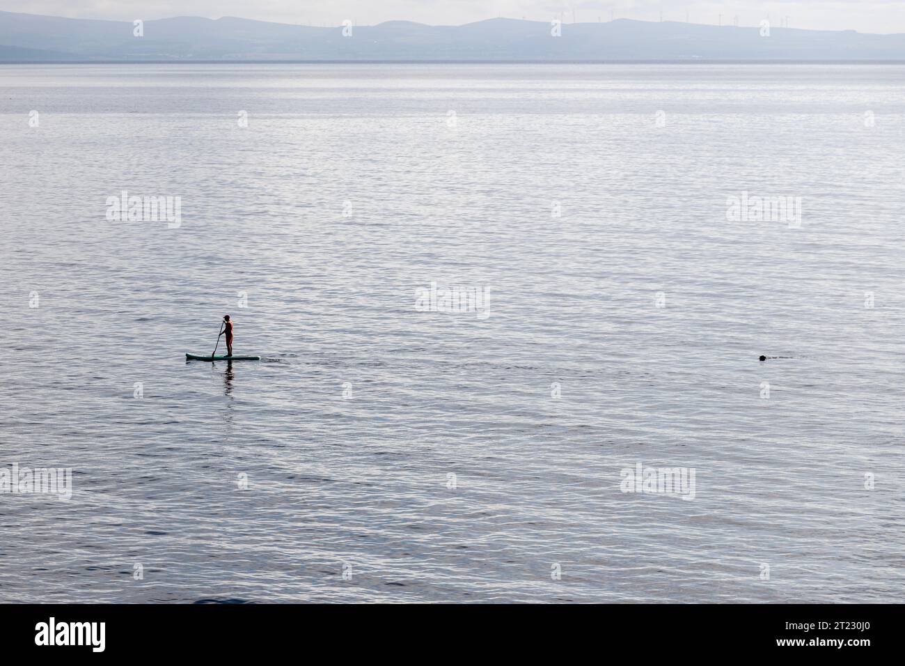 Man water paddling and Otter, Isle Of Arran, Firth of Clyde, Scotland ...