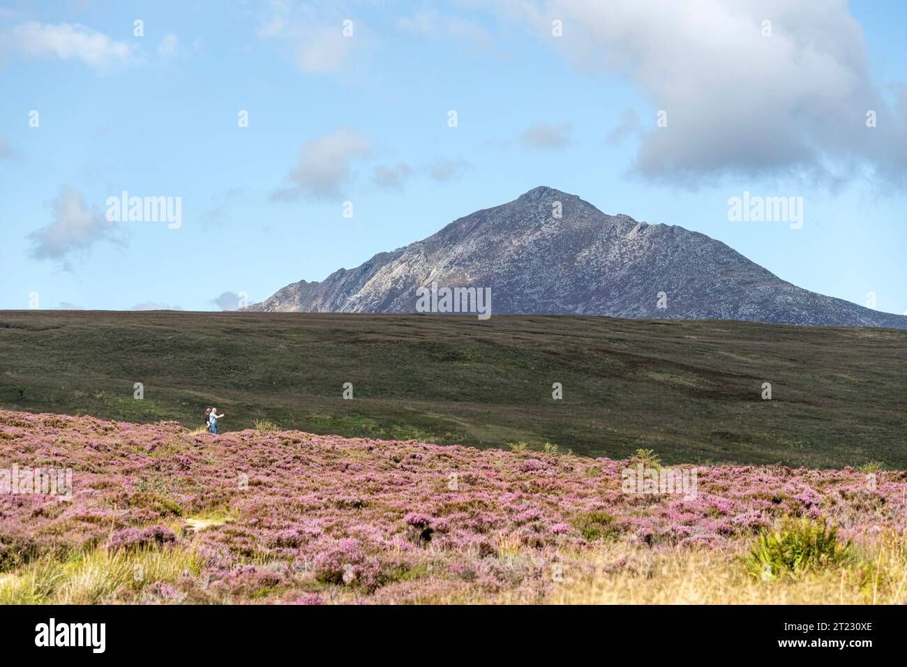 View from the String road, Isle Of Arran, Firth of Clyde, Scotland, UK ...