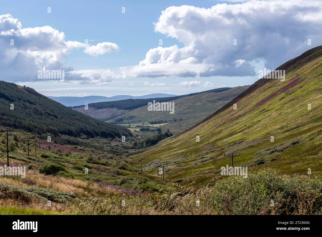 String road hi-res stock photography and images - Alamy