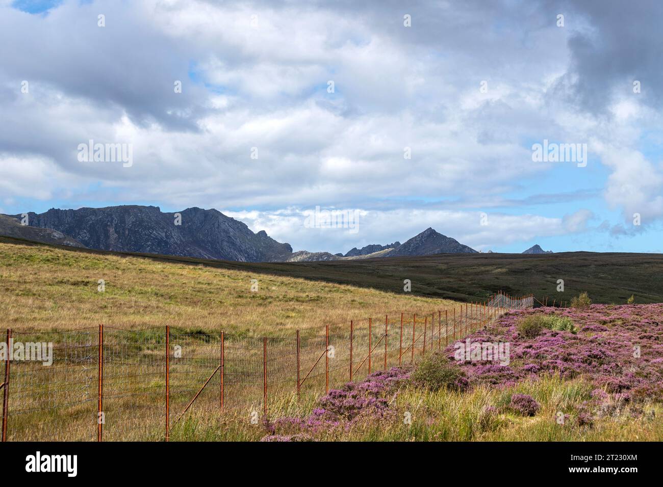 String road hi-res stock photography and images - Alamy