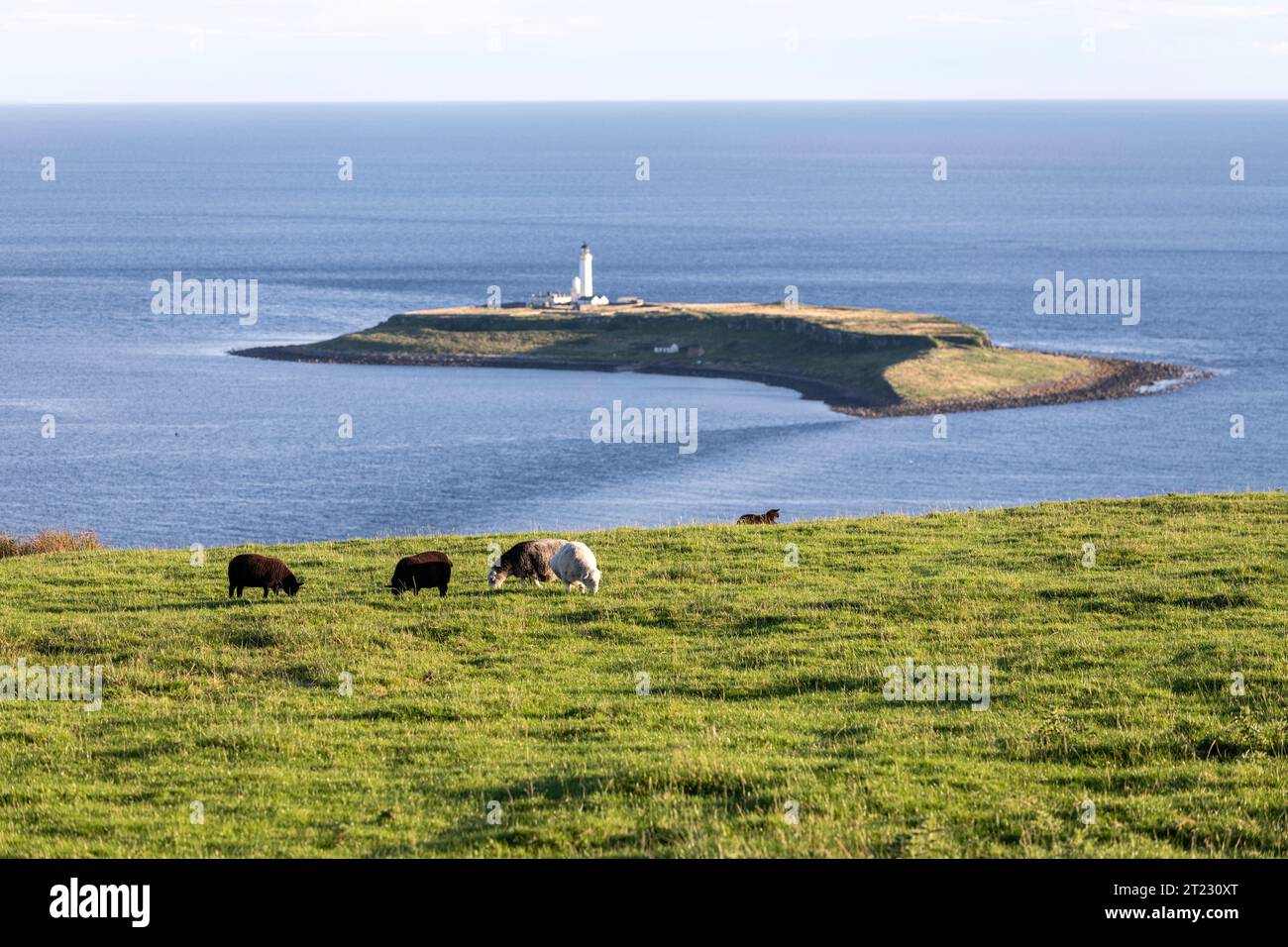 Pladda Lighthouse from Isle Of Arran, Firth of Clyde, Scotland, UK ...
