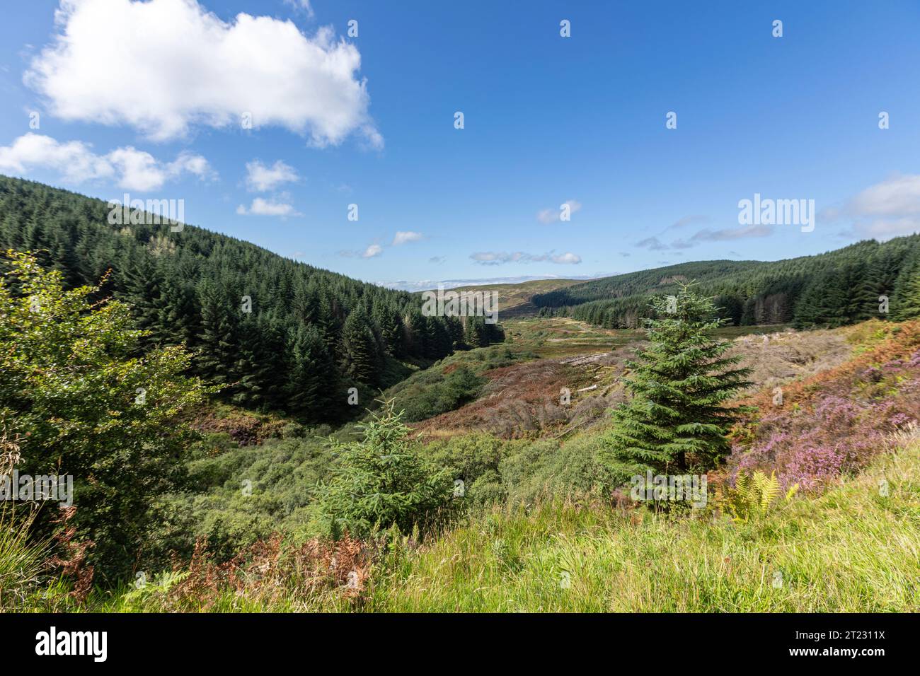 The Ross road, Isle Of Arran, Firth of Clyde, Scotland, UK Stock Photo ...