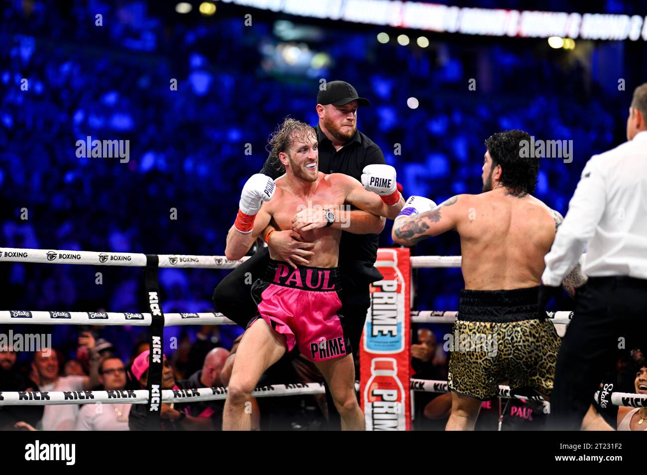 Logan paul boxing gloves hi-res stock photography and images - Alamy