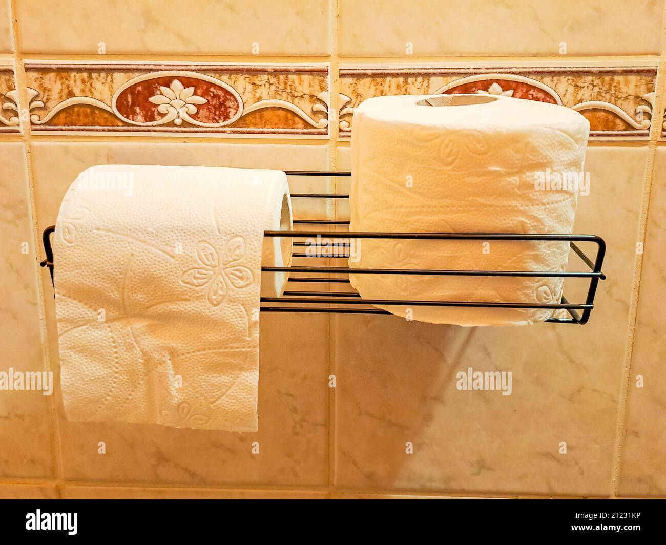 Hand taking toilet paper from hi-res stock photography and images - Alamy