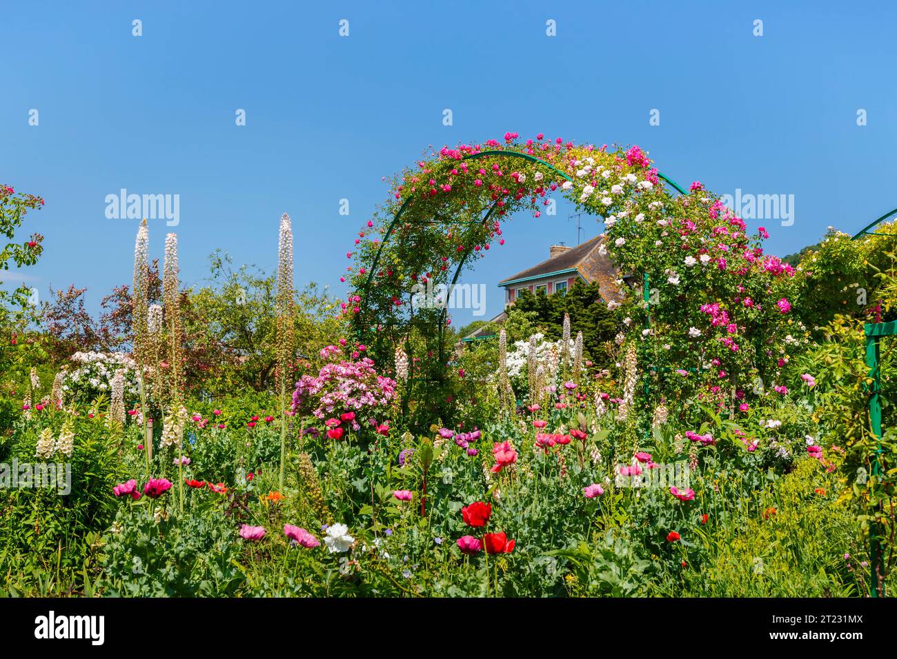 Rose arches and colourful summer flower borders in Giverny, the garden ...