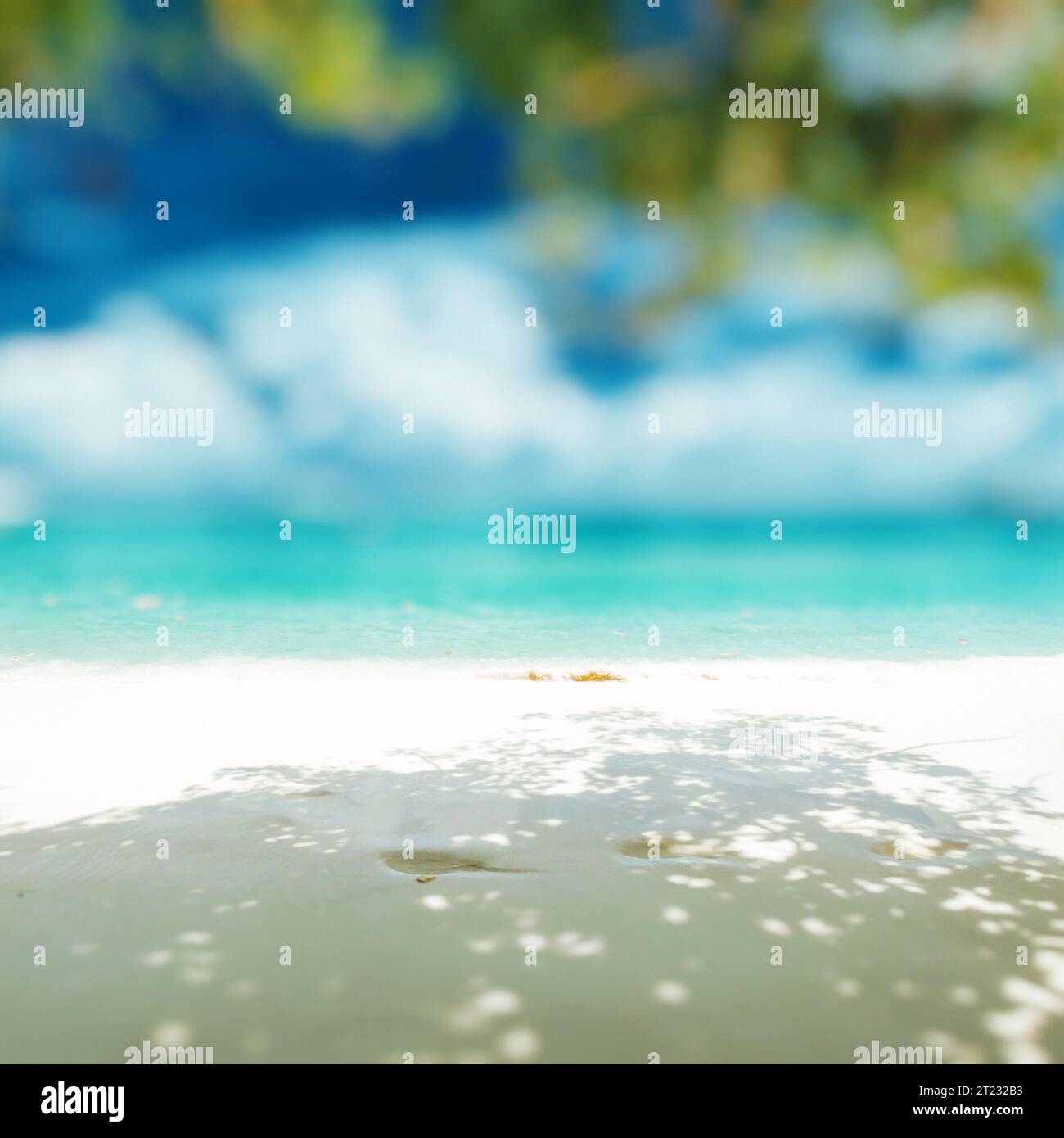 Beach and ocean paradise hi-res stock photography and images - Alamy