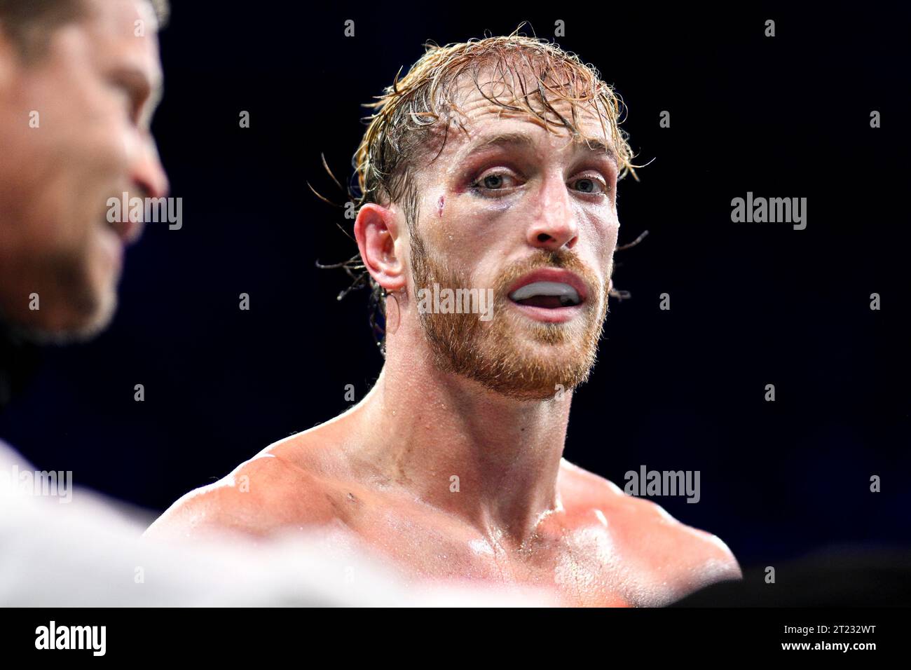 Logan paul boxing gloves hi-res stock photography and images - Alamy