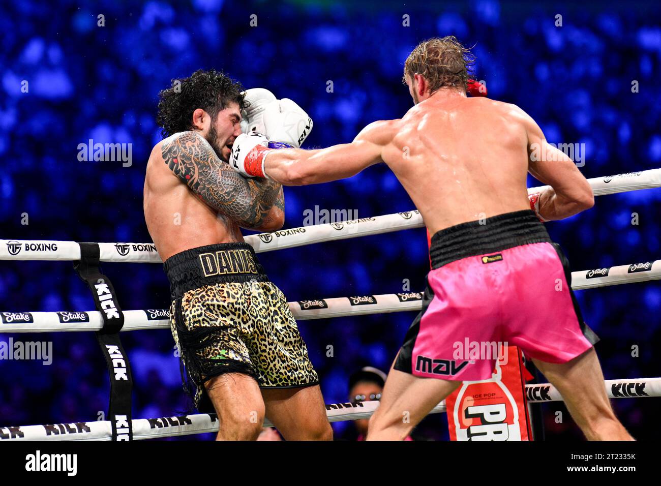 Logan paul boxing gloves hi-res stock photography and images - Alamy
