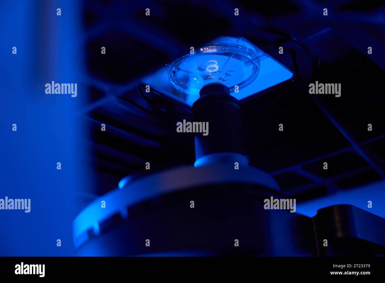 Icsi process hi-res stock photography and images - Alamy