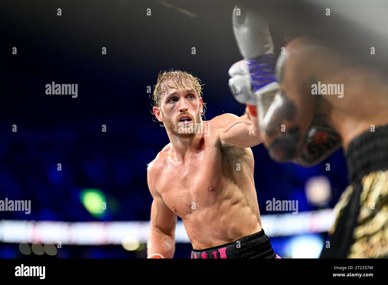 Logan paul boxing gloves hi-res stock photography and images - Alamy