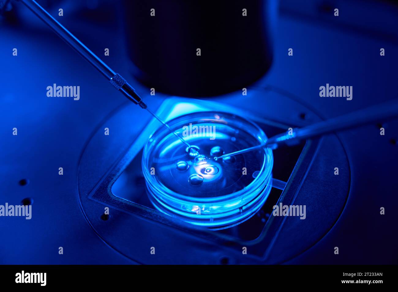 Sperm sample needle hi-res stock photography and images - Alamy
