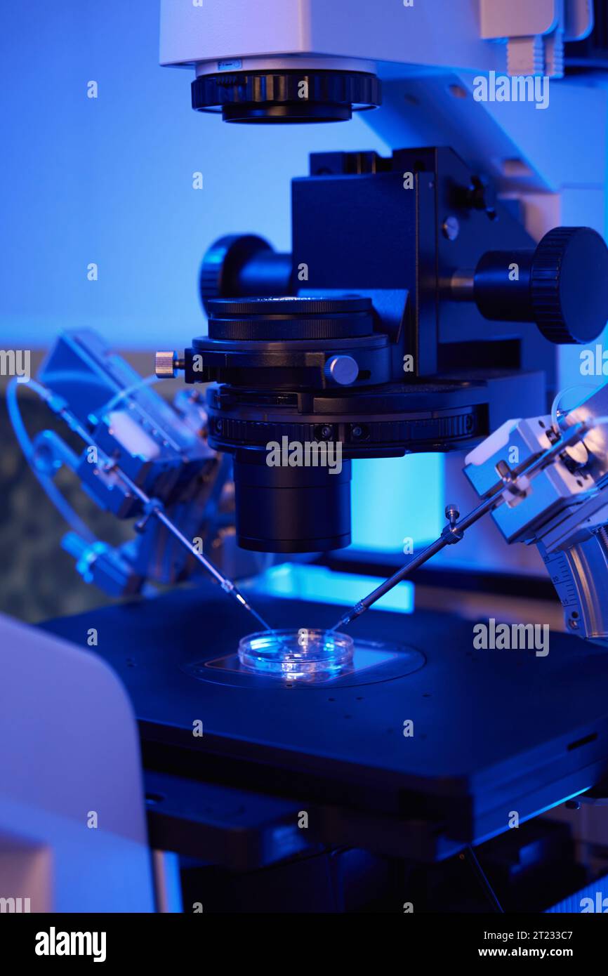 Setup used for intracytoplasmic sperm injection in modern laboratory ...
