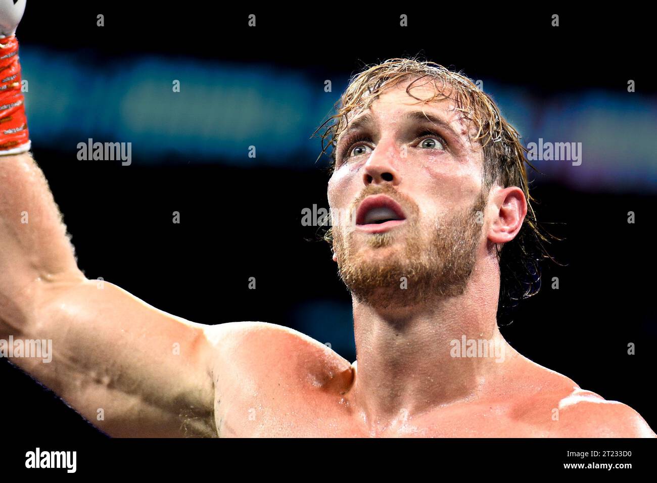 Logan paul boxing gloves hi-res stock photography and images - Alamy