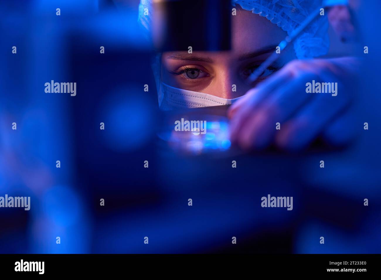 Experienced female scientist preparing specimens for microscopic ...