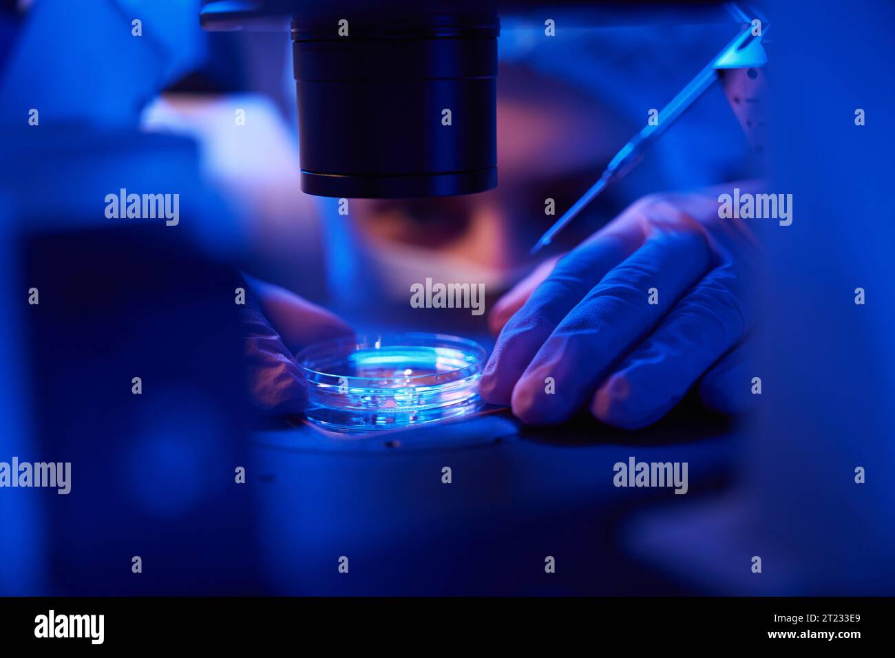 Female researcher preparing for cell handling with micromanipulation ...
