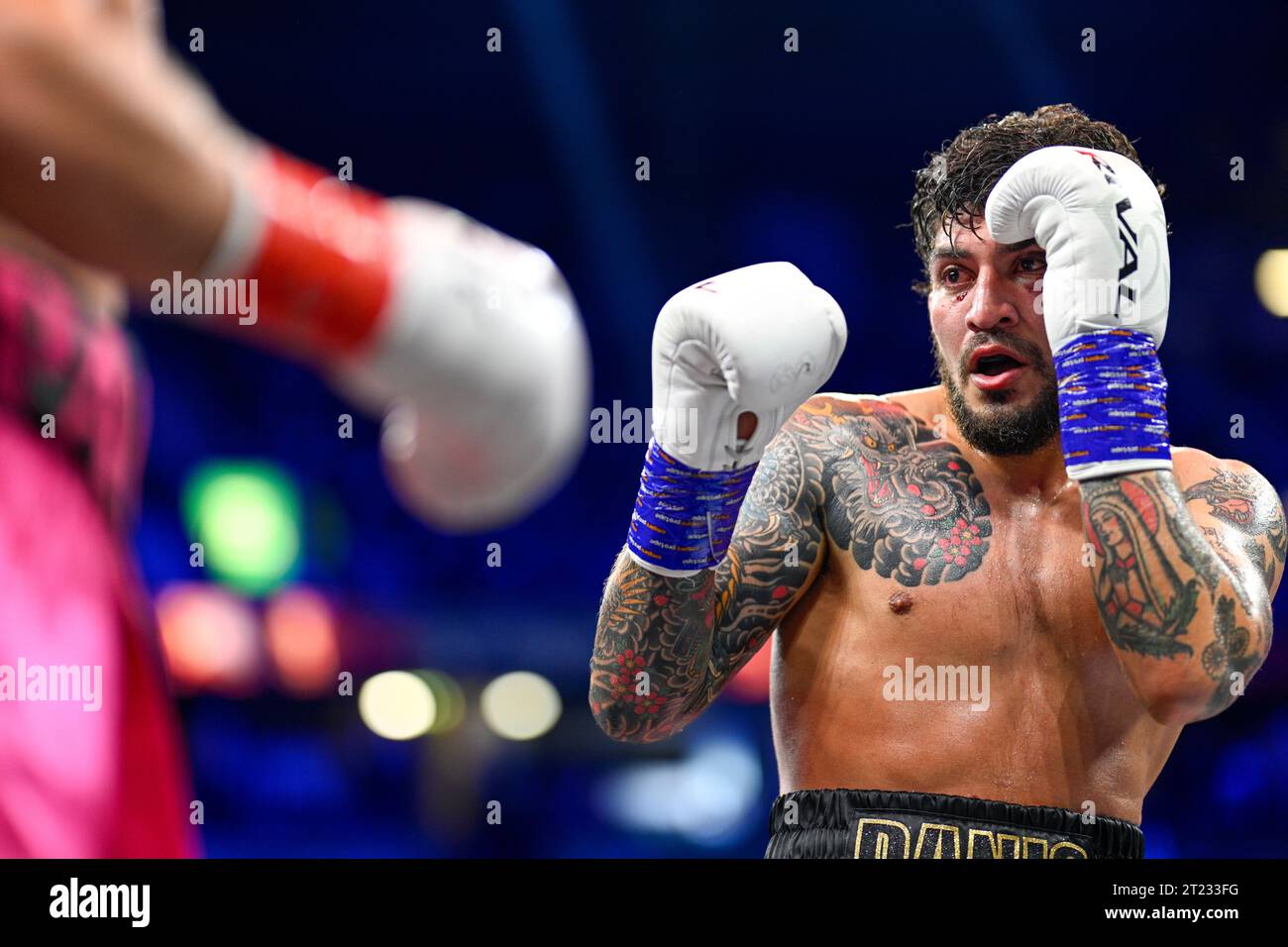 Logan paul boxing gloves hi-res stock photography and images - Alamy