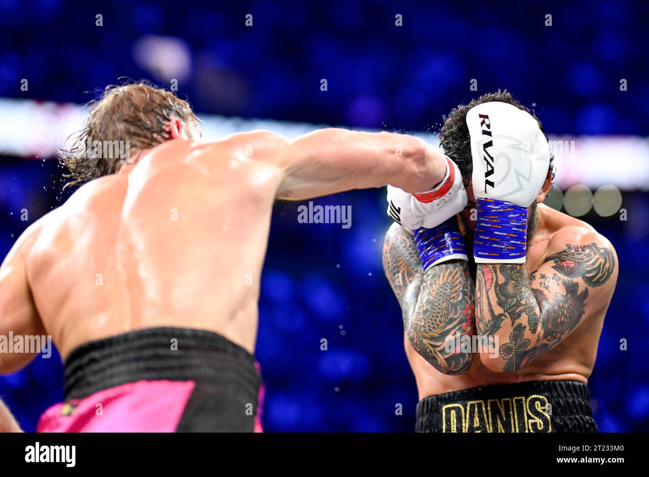Logan paul boxing gloves hi-res stock photography and images - Alamy