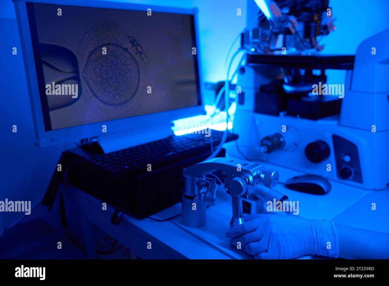 Embryologist carrying out intracytoplasmic sperm injection displayed on ...