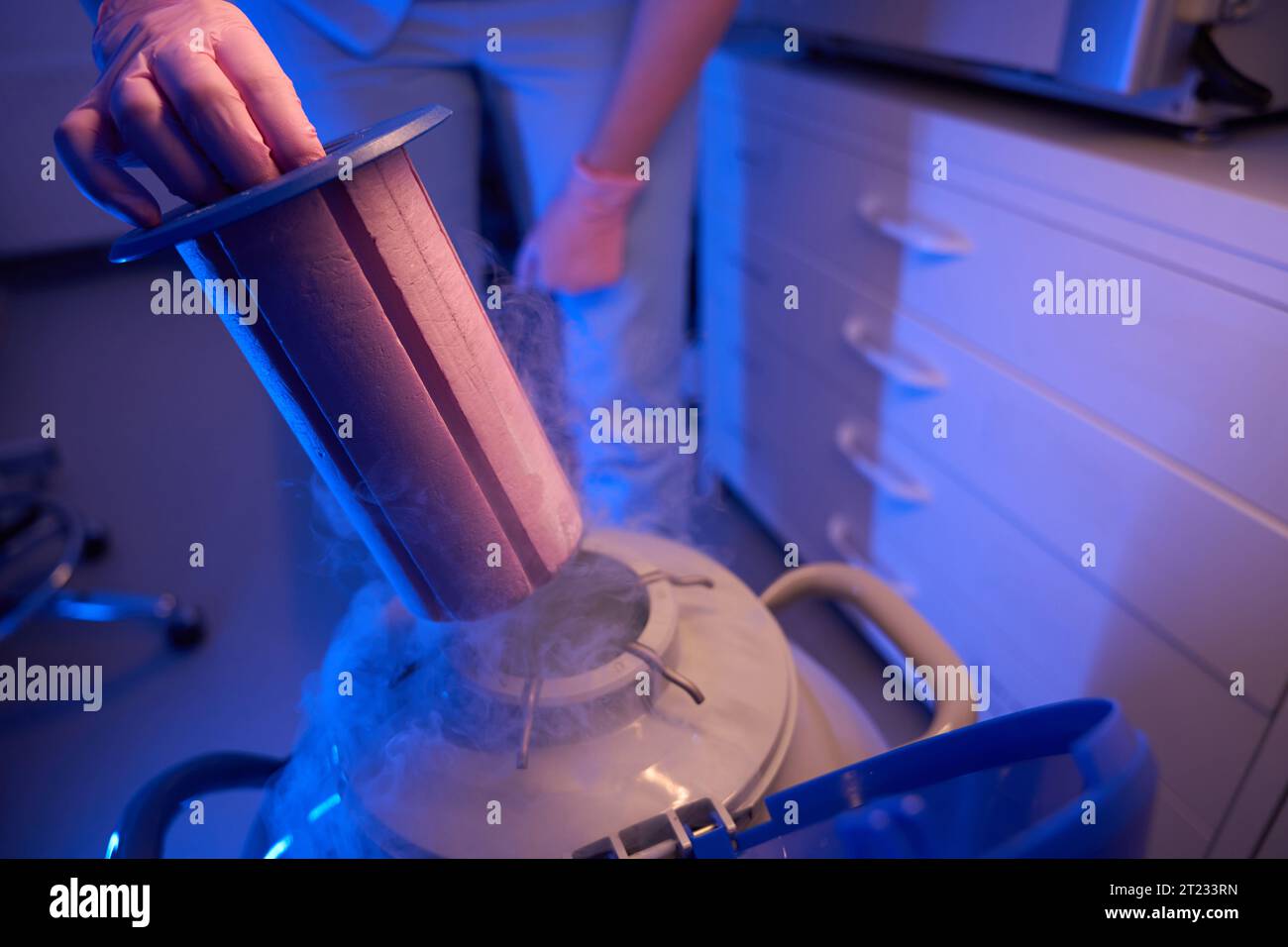 Scientist using cryogenic tank for preservation of biological samples ...