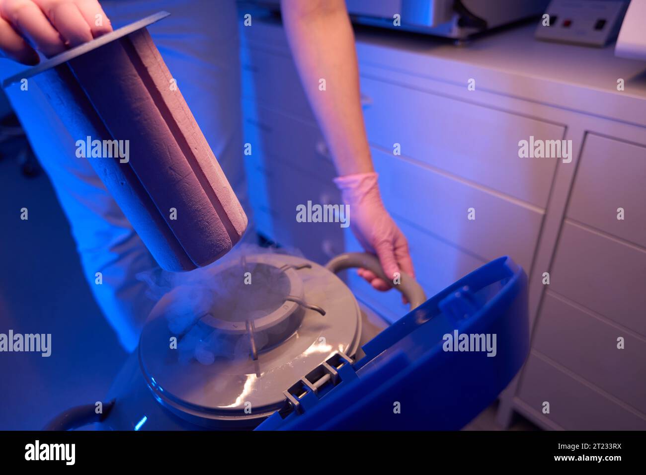 Laboratory researcher using cryogenic dewar for storage of biological ...